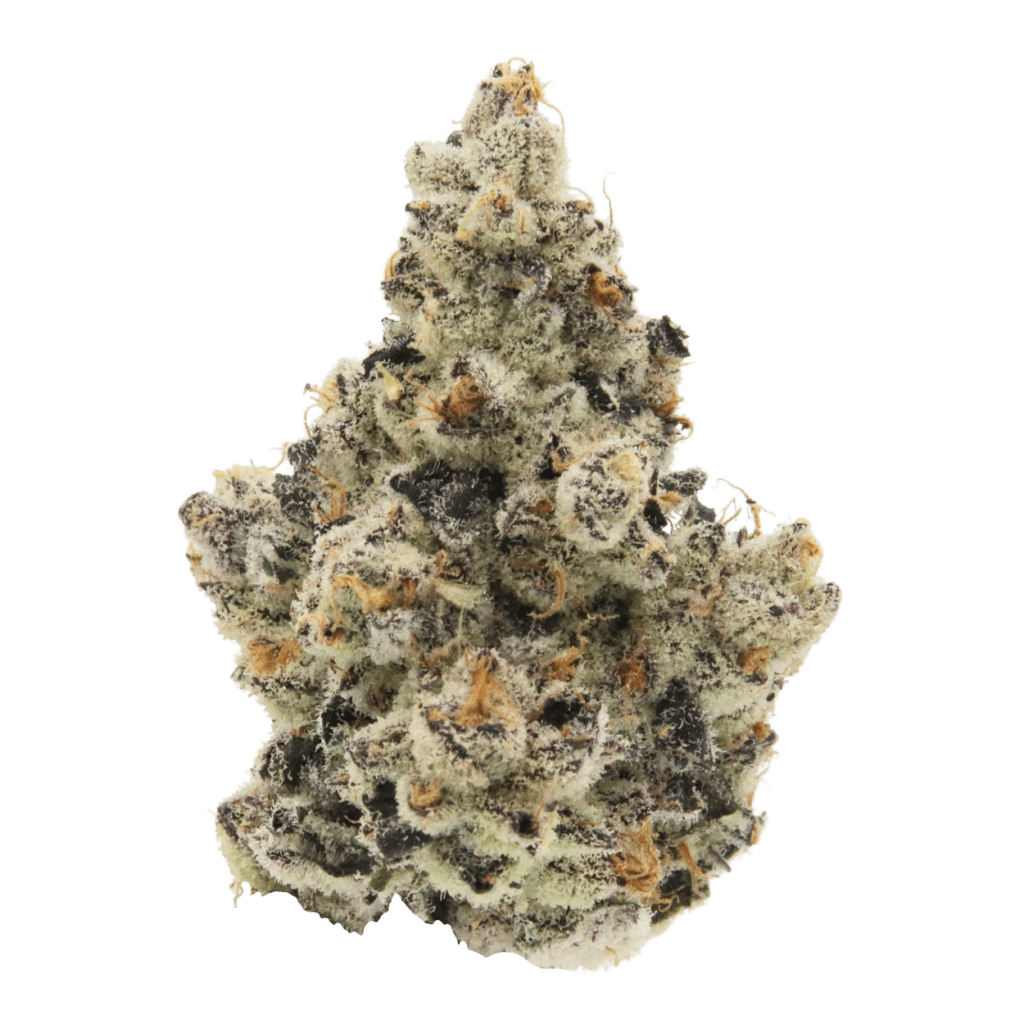 Sense Cannabis Tokyo Fuzz Strain - SENSE