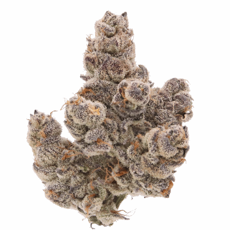 SENSE Strains - SENSE Brand