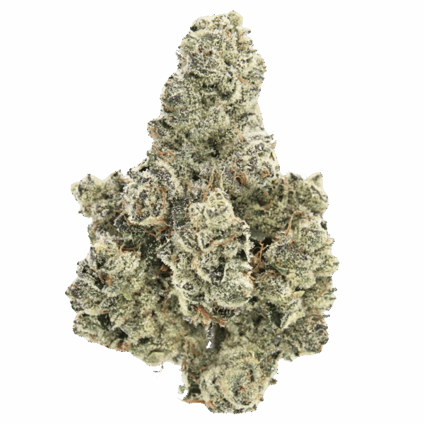 Sense Cannabis Pink Spritzer Strain - SENSE